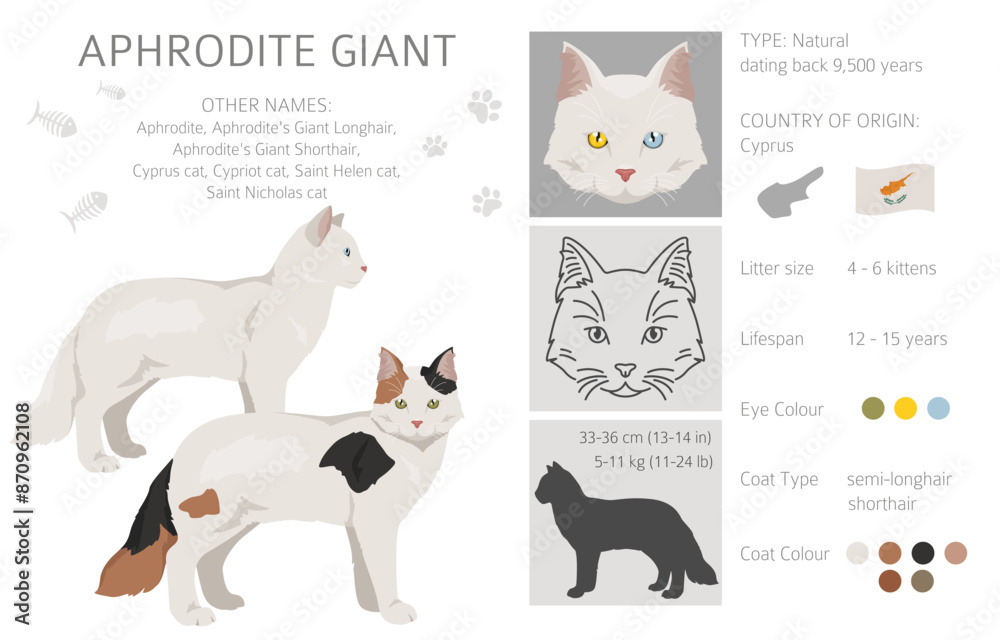 Aphrodite Giant. Cyprus cat clipart. All coat colors set. All cat ...