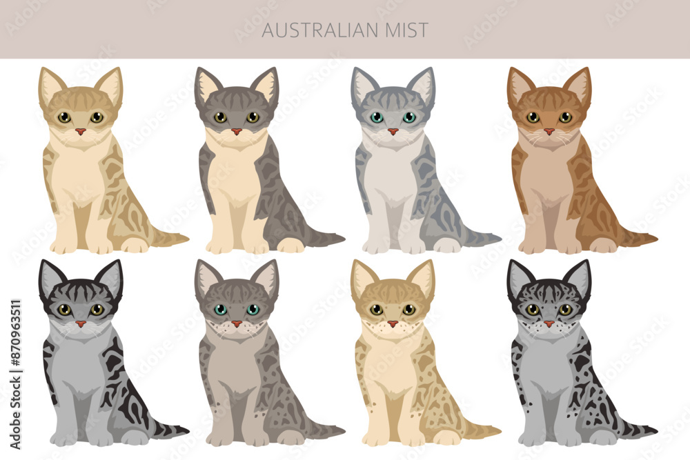 Australian Mist cat clipart. All coat colors set. All cat breeds ...
