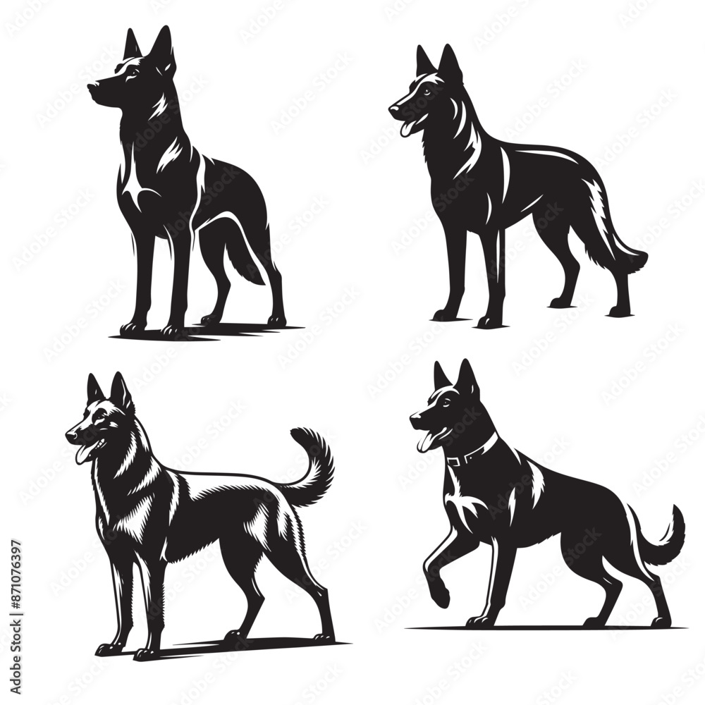 Vector de Stock Belgian Malinois Silhouette Set: Vector Black and White ...