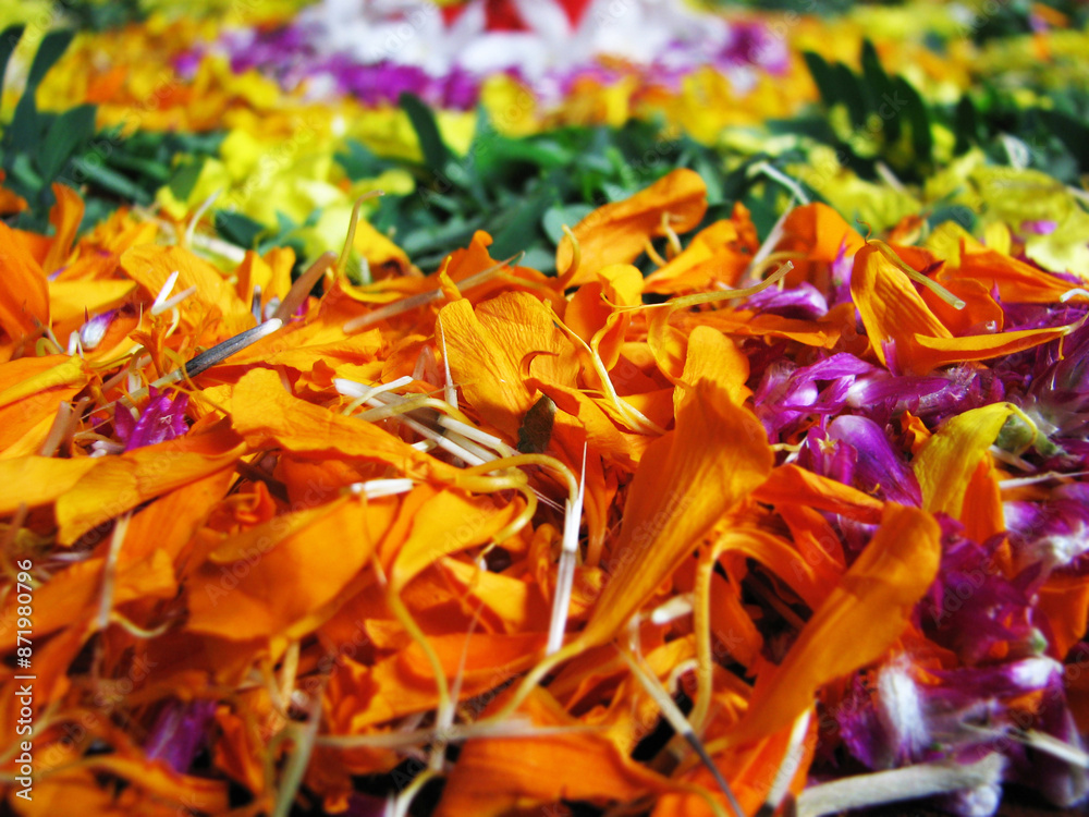 Pookkalam, the floral decorative design from Onam celebrations in ...