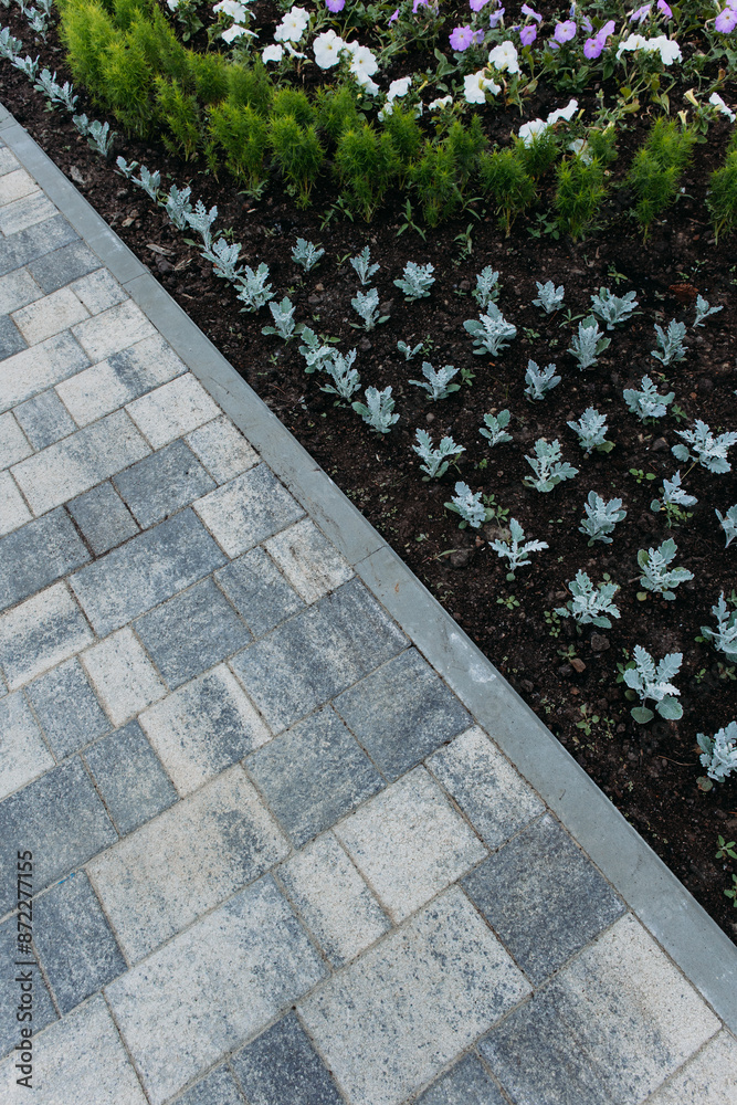 grass, path, road, stone, park, walkway, sidewalk, brick, pavement ...