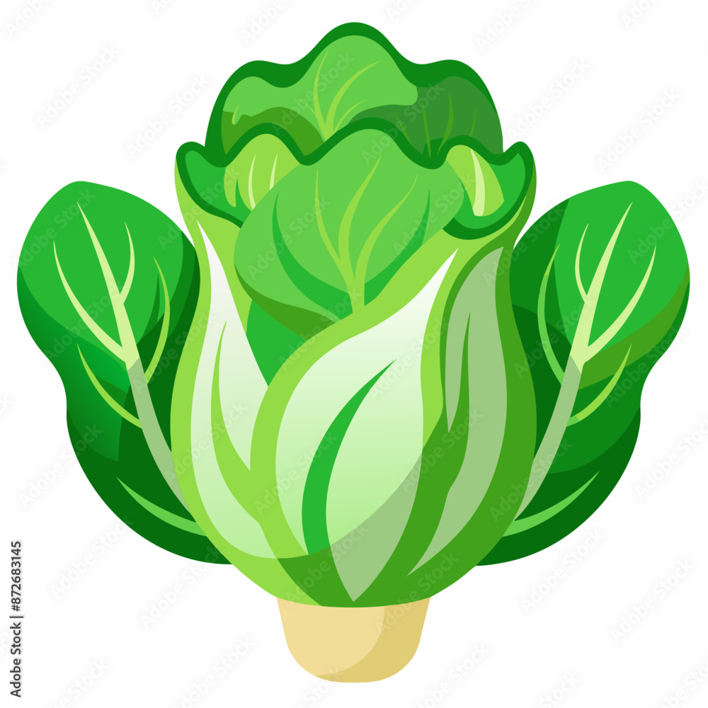 choi sum clipart cartoon Illustration drawing Stock Vector | Adobe Stock