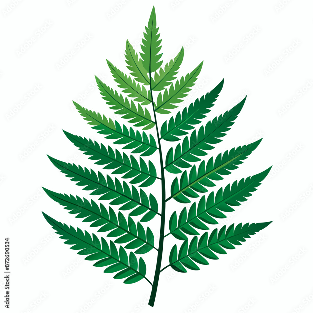 fern clipart cartoon Illustration drawing Stock Vector | Adobe Stock