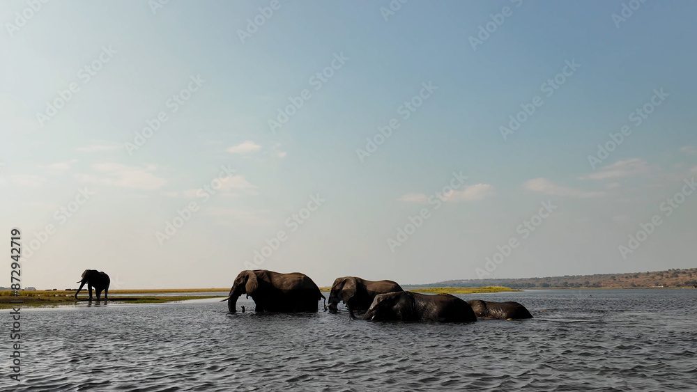 Safari Skyline At Chobe National Park In Kasane Botswana. African ...