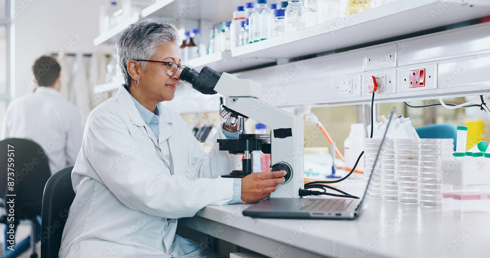 Mature, biotech and woman with microscope, science and medical ...