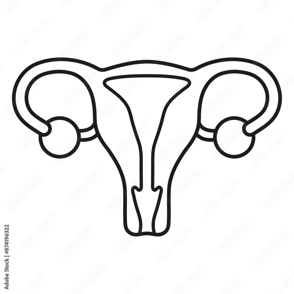 Uterus vector illustration. Minimalist image, human adult uterus icon ...
