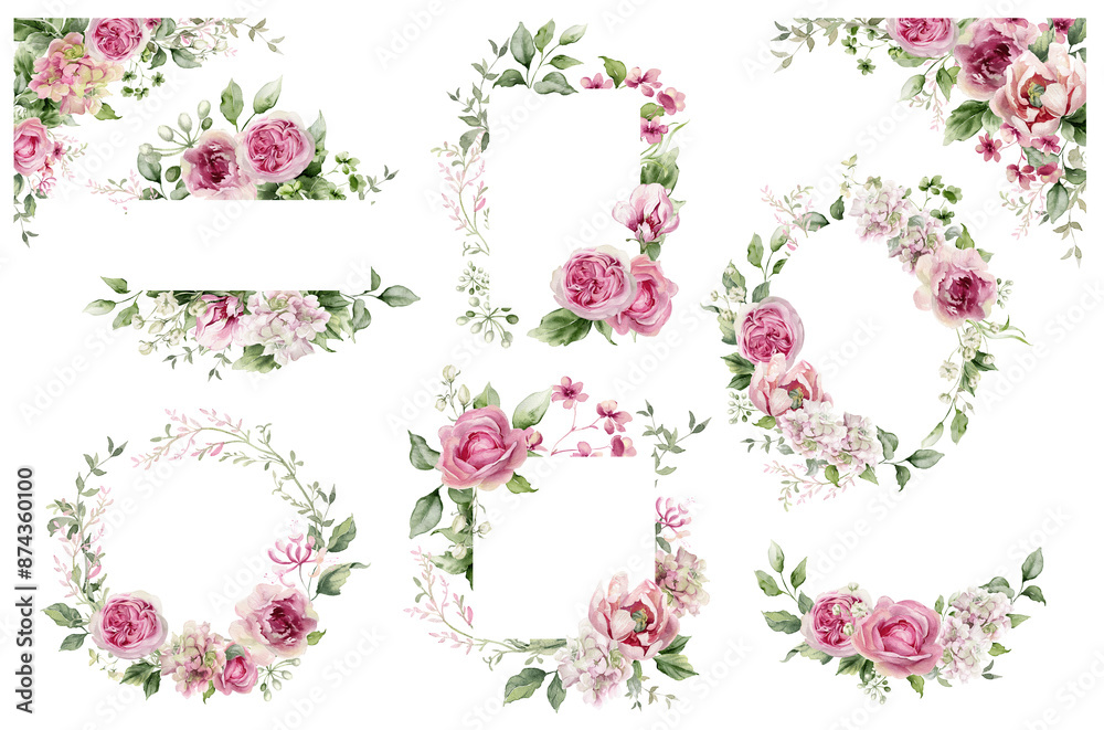 Pink garden flowers isolated on transparent background, watercolor ...