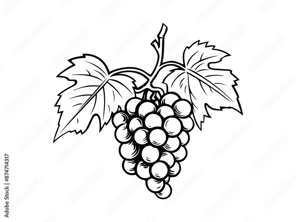 line art of grapes Stock Vector | Adobe Stock