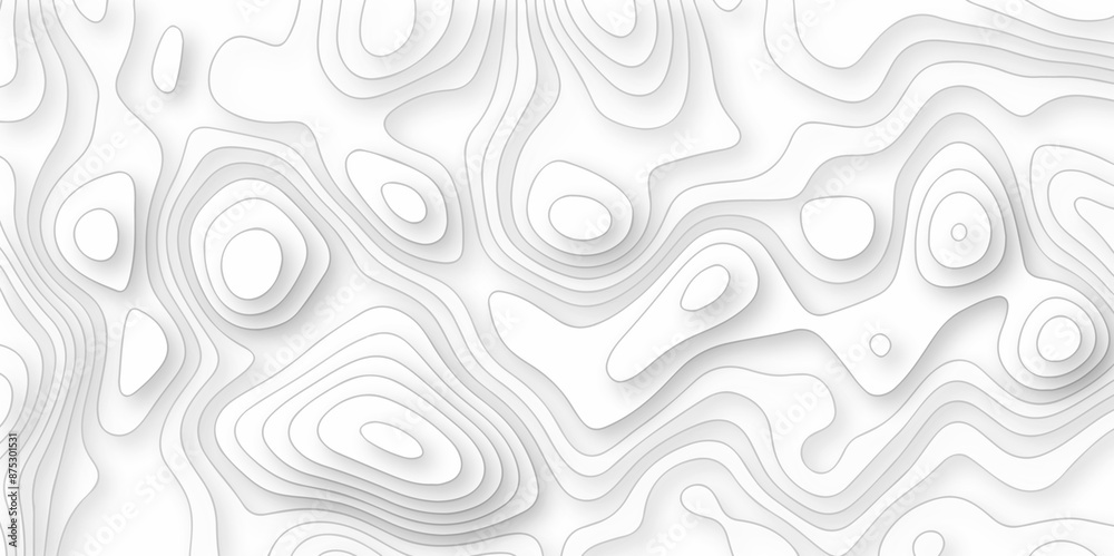 Vector white wave line geography landscape Topo contour map on white ...