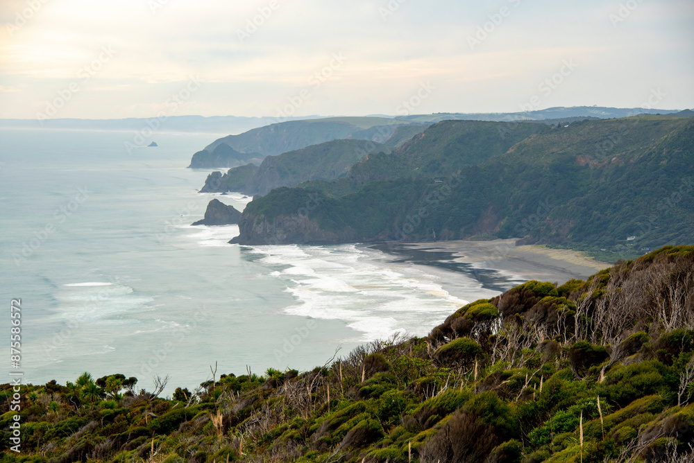 Waitakere Ranges Regional Park - New Zealand Stock Photo | Adobe Stock