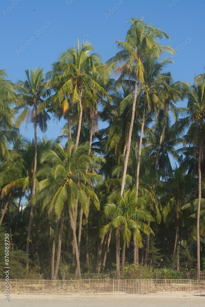 Ngapali Beach is Myanmar's most famous beach. This beautiful beach ...