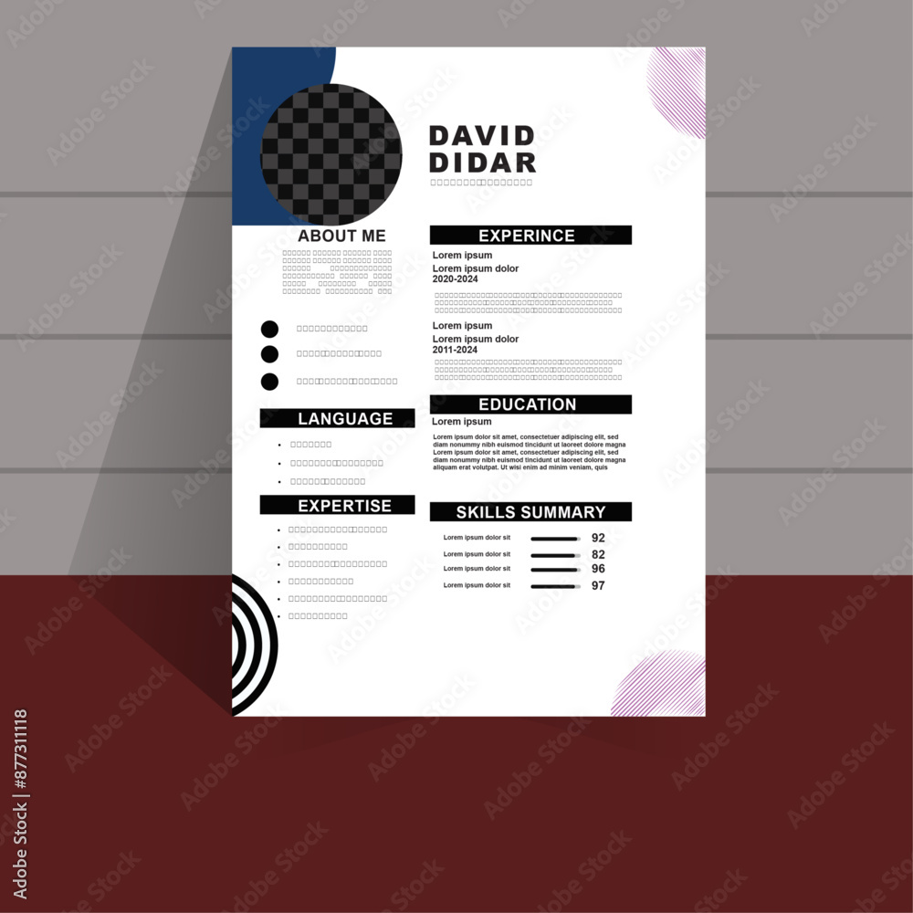 cv Professional Resume CV Template Layout Stylish CV / resume template ...