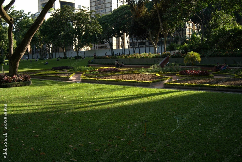 El verde y los jardines en caracas. En Caracas podemos disfrutar de ...
