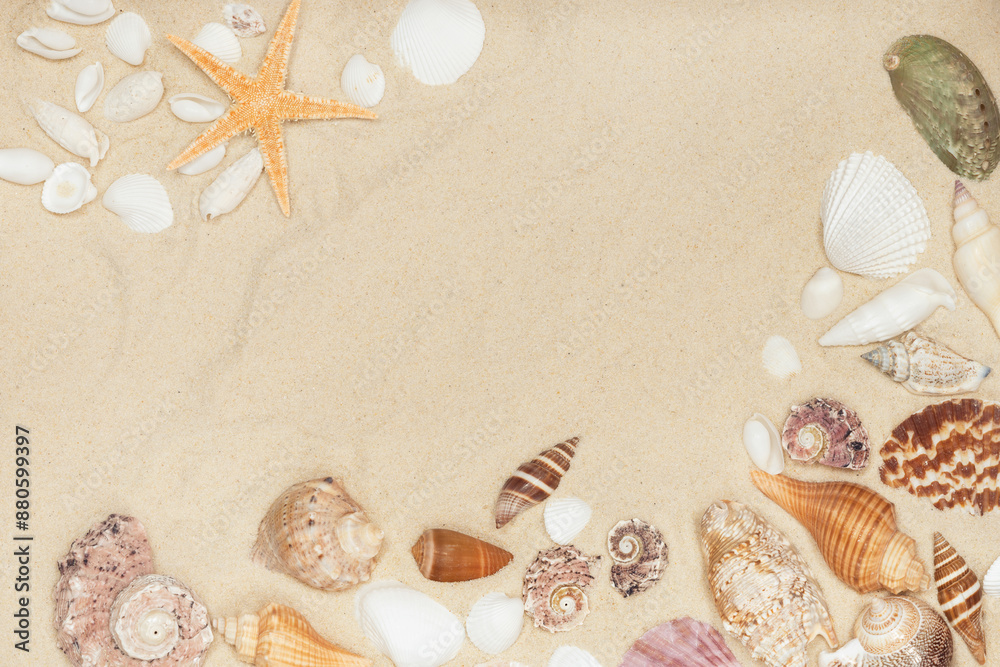 Sandy beach background with seashells and starfish. natural sand ...