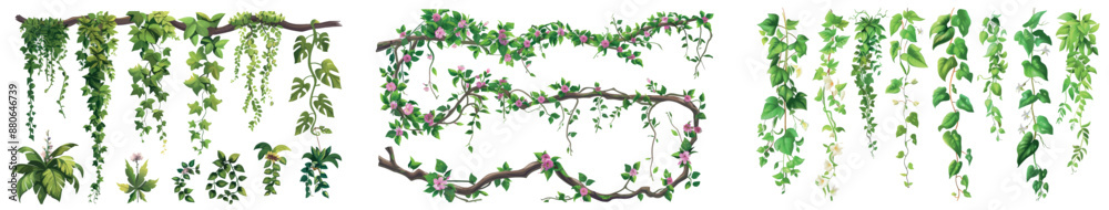 The twisted plant stem creeper with foliage and blossoms of a jungle ...