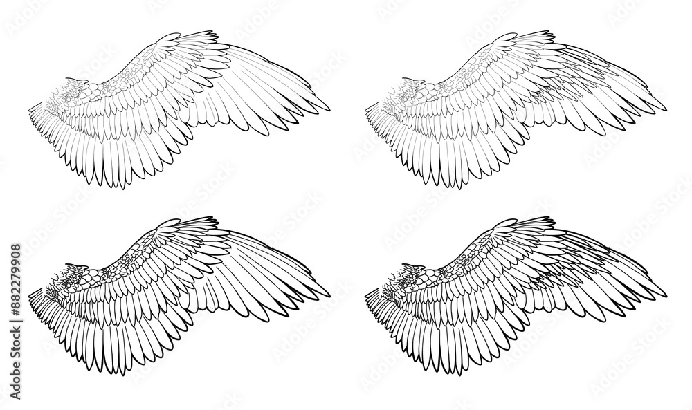 Linear outline drawing angel wings hand drawn clip art element pegasus ...