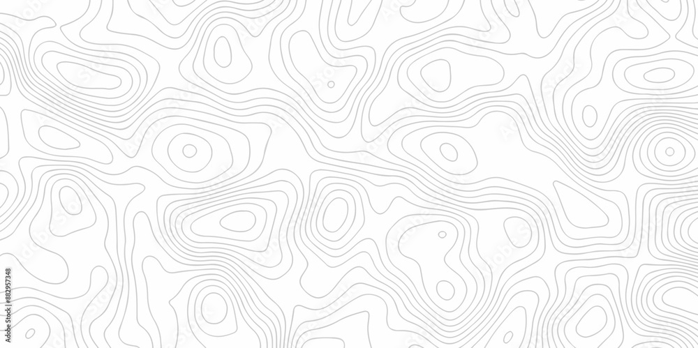 Vector white wave line geography landscape Topo contour map on white ...