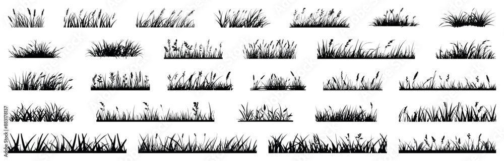 Silhouette grass with spikelet collection. Set of hand drawn beach ...