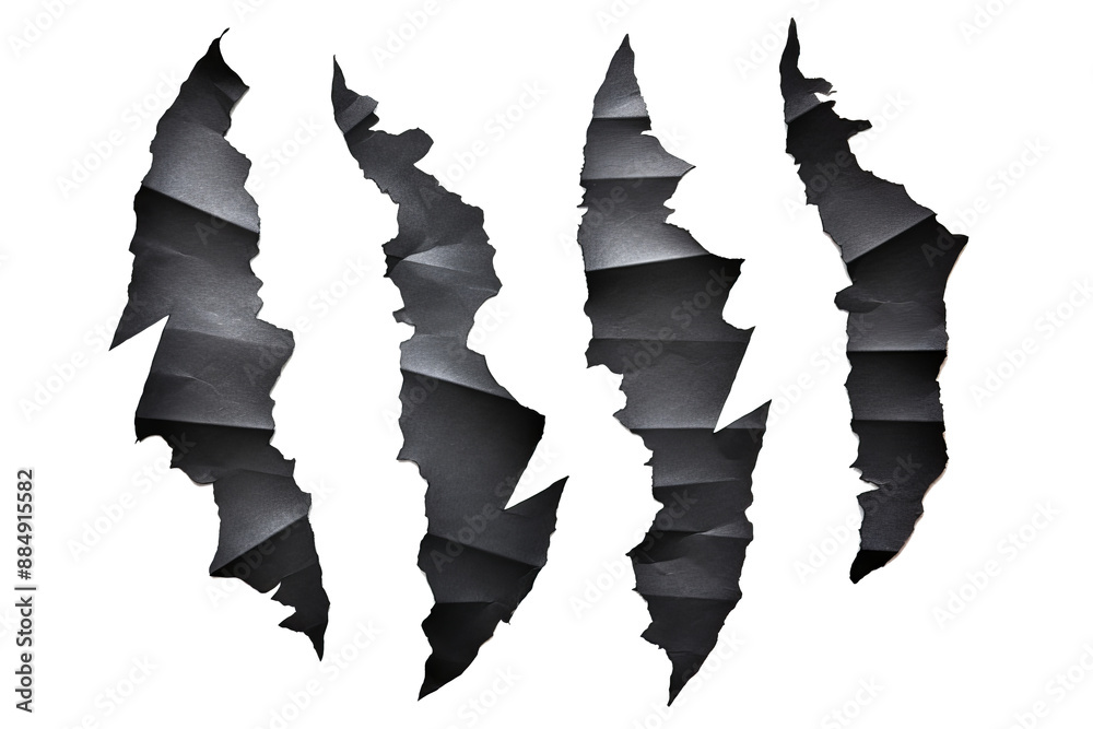 Pieces of torn black paper in animal claw shape PNG with white ...