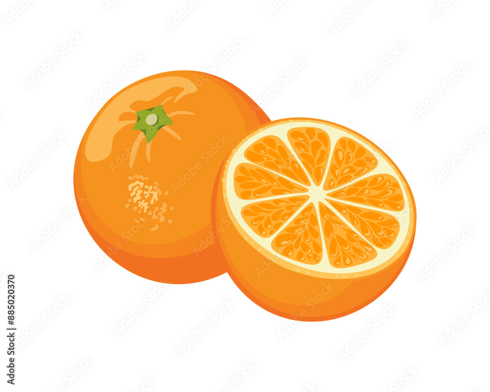 Orange fruit whole and half isolated on white. Vector cartoon ...