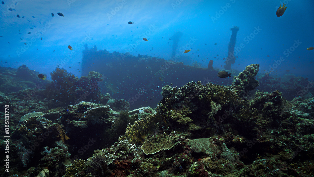 Underwater photo of the USS Liberty shipwreck from World War Two, WWII ...