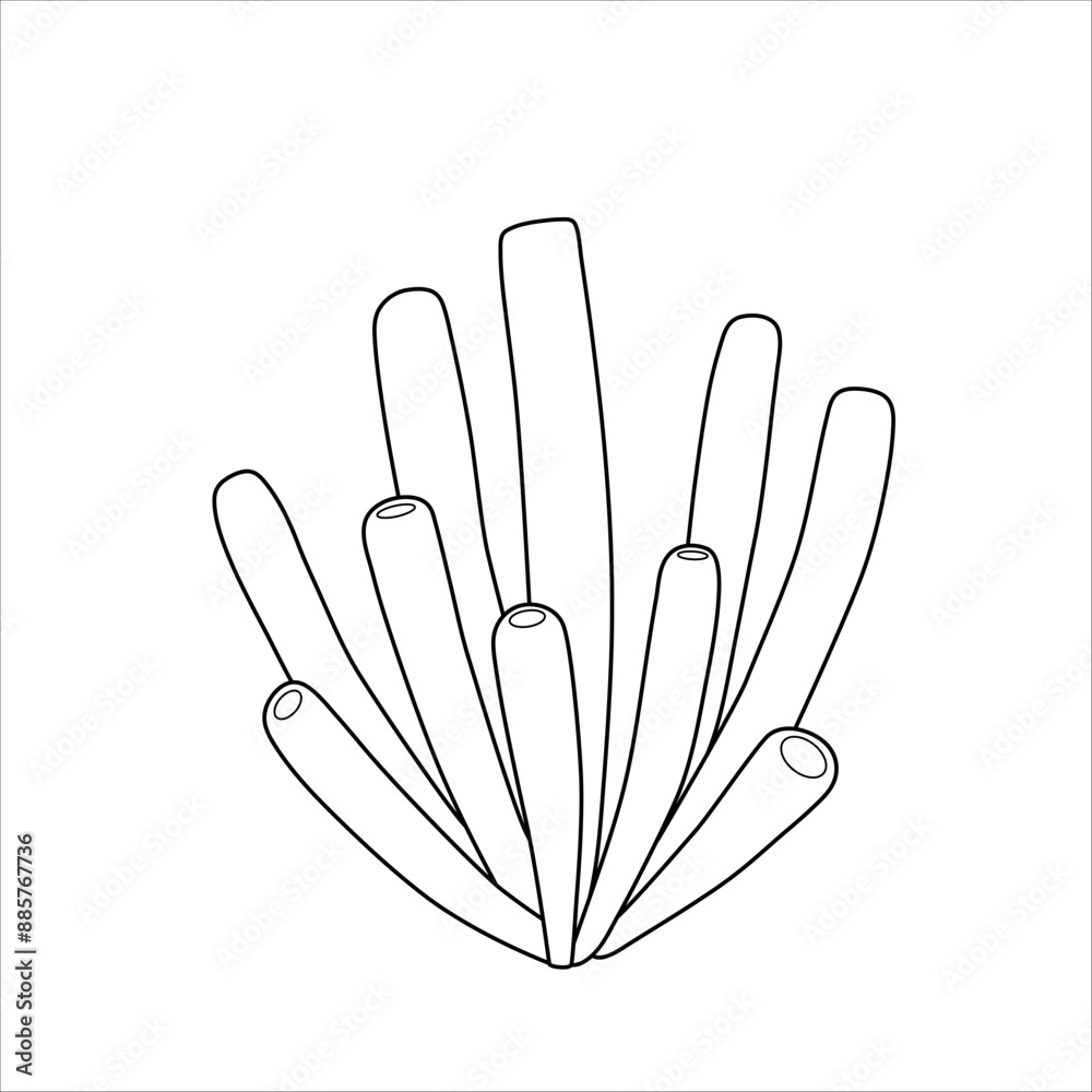 Black and white silhouette of tube sponge, coral. Plant of underwater ...