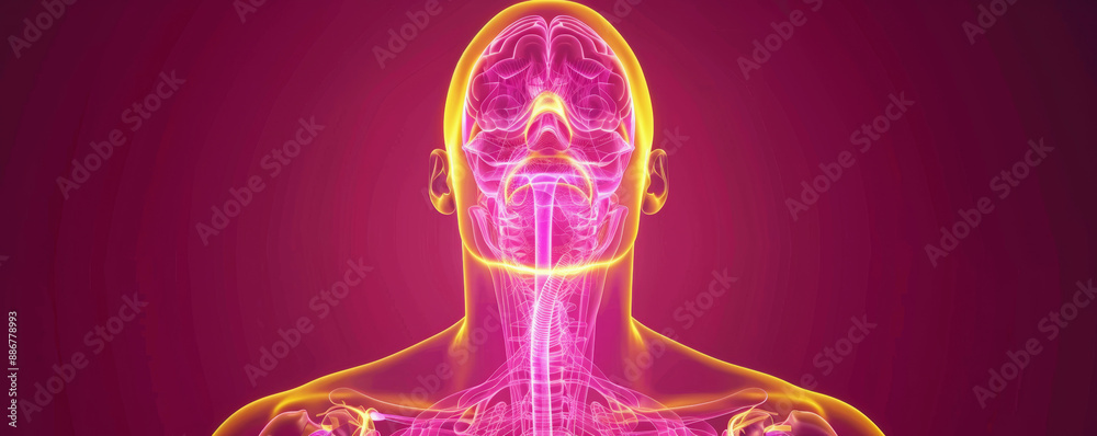 Create a detailed and visually striking image of the human gustatory ...