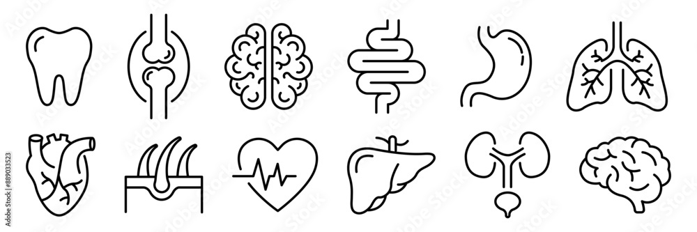 Human Internal Organ Anatomy Line Icon Set. Liver, Tooth, Brain ...