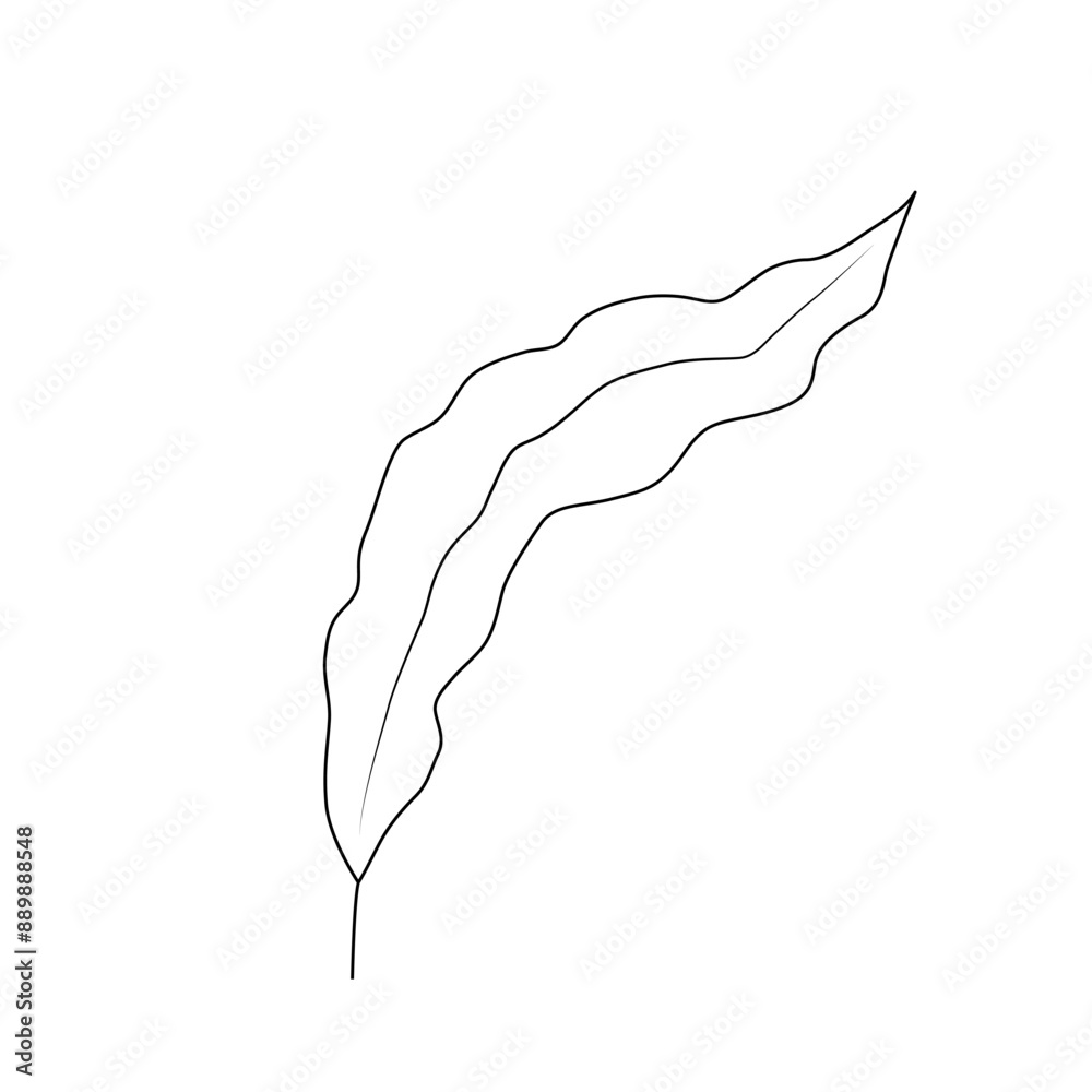 Black and white silhouette of seaweed. Ocean plants, underwater flora ...