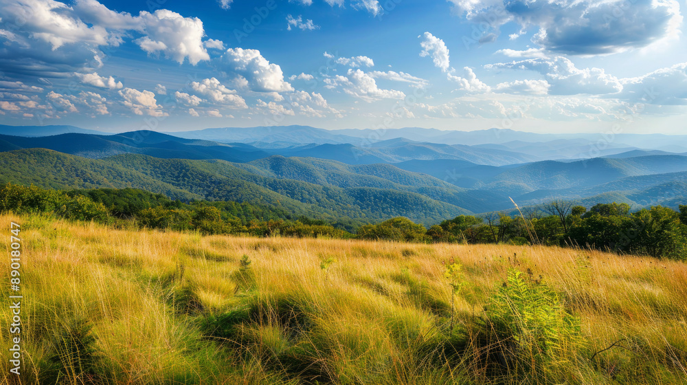 Stunning view of the Blue Ridge Mountains from the Appalachian Trail on ...