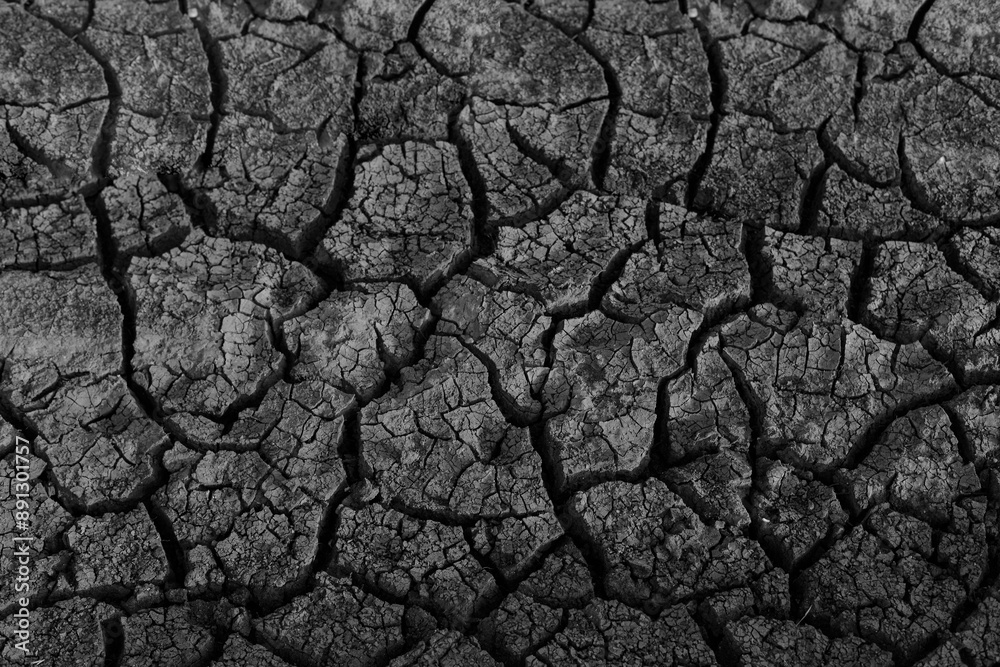 Cracked dried black earth texture with deep fissures surface. dry earth ...