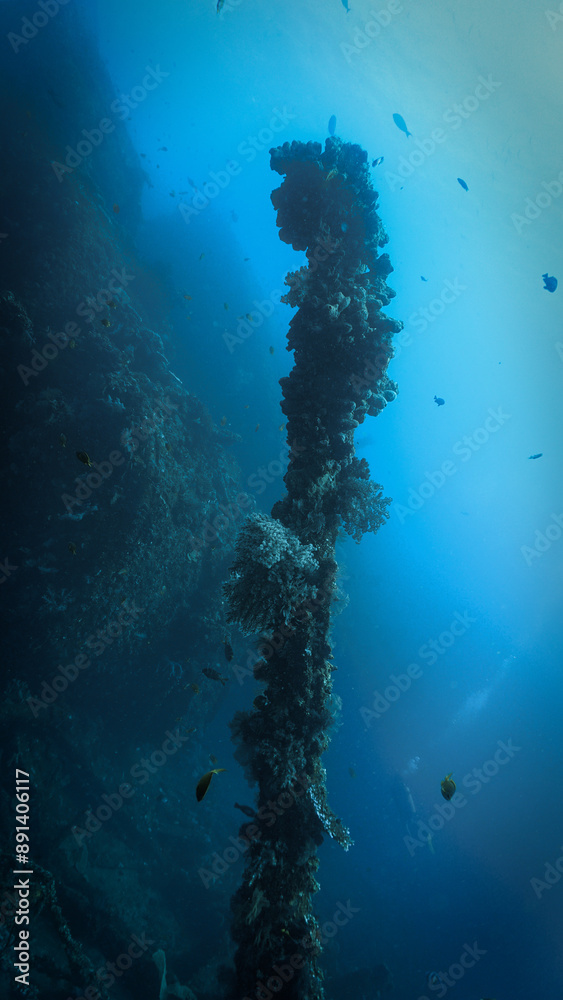 Wreck mast with colorful corals. Underwater photo of the USS Liberty ...