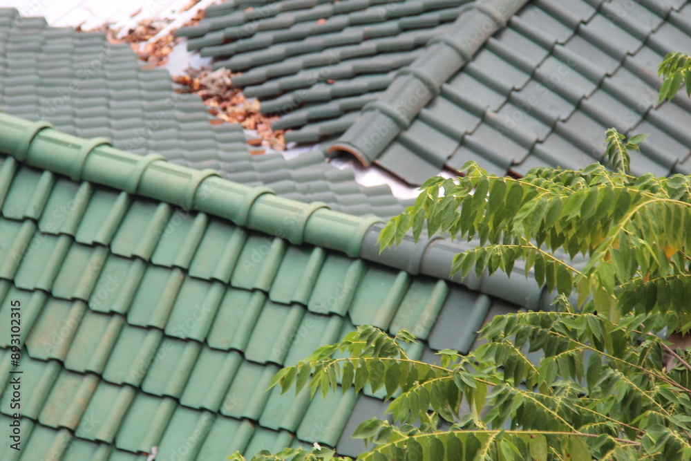 Bright green roof tiles reflect sunlight and look beautiful, Texture of ...
