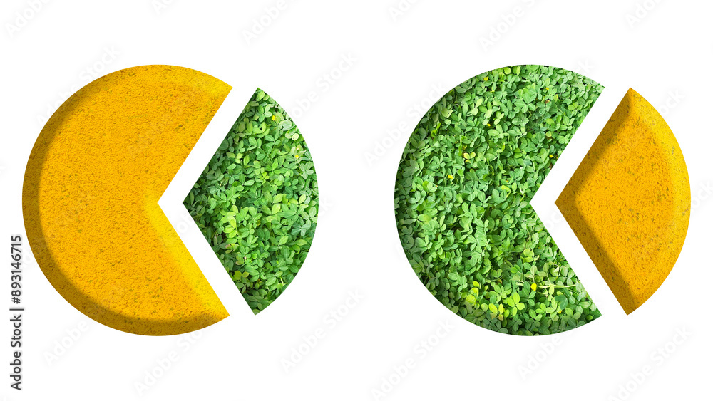 pie chart, gold and jungle/leaves/grass, isolated on transparent ...