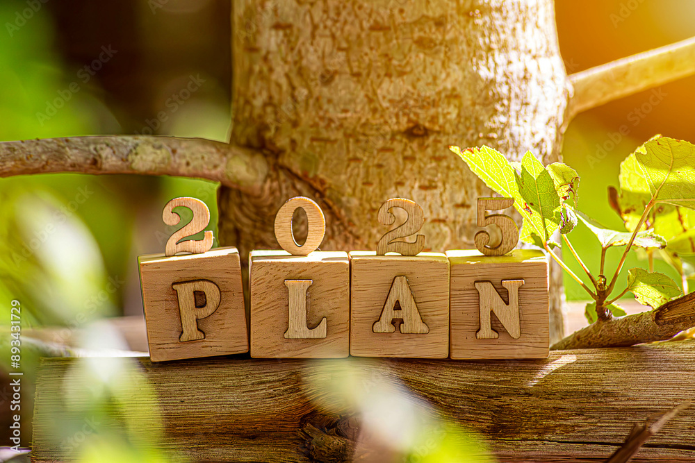 Action Plan 2025 Cube with text 2025 plans, goals, actions to list and ...