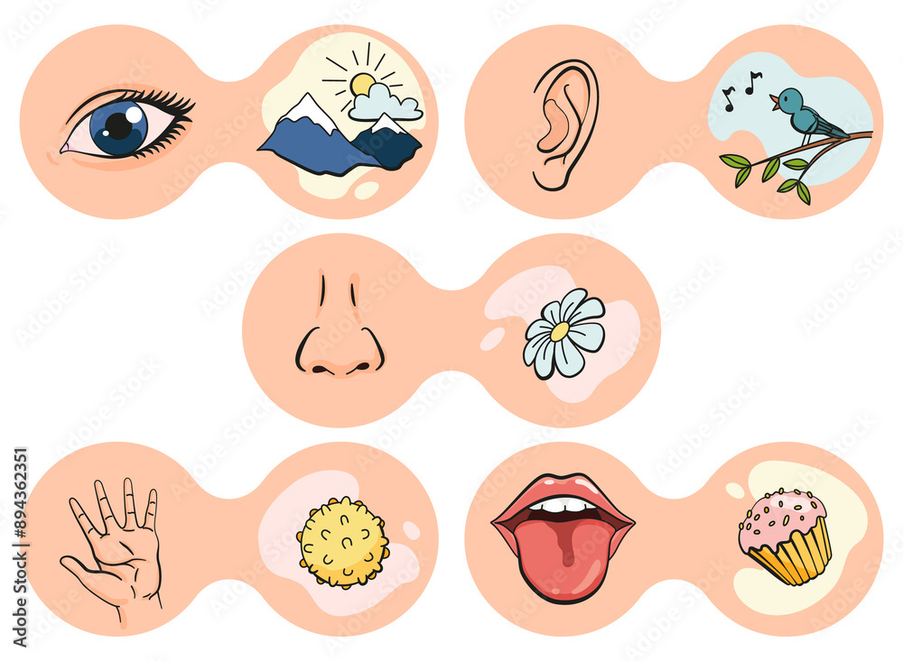 Cartoon sensory organs icons. Nose, ear, hand, tongue and eye. Five ...