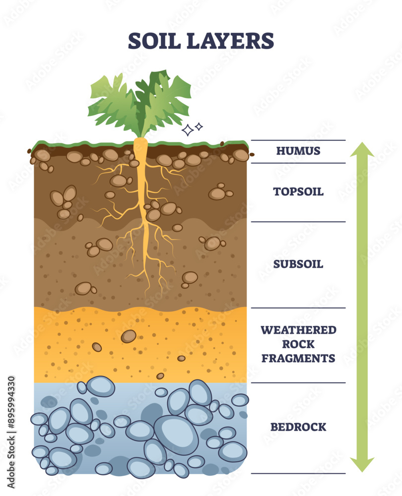 Soil layers with geological ground structure and materials outline diagram, transparent ...