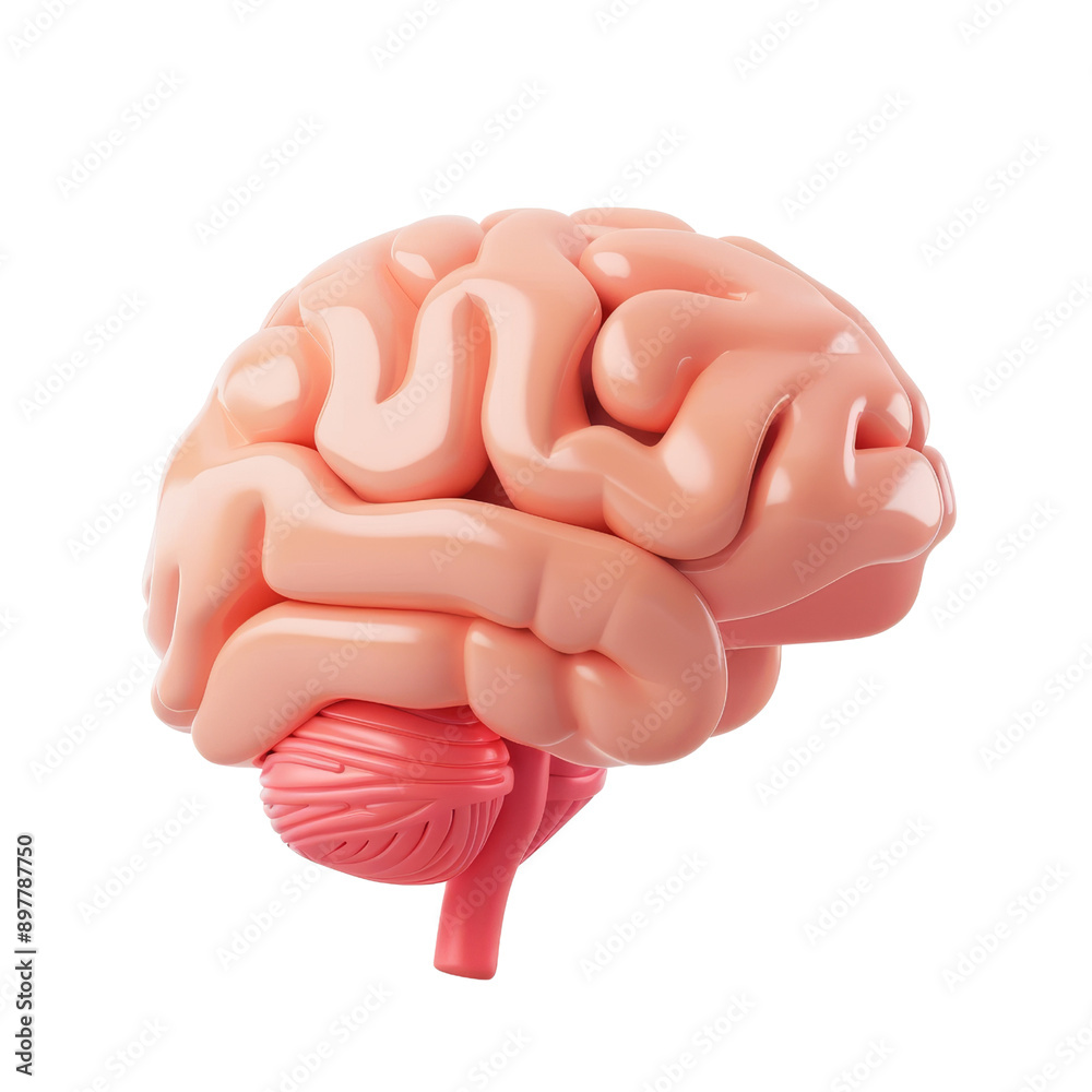human brain 3d icon png transparent Stock Illustration | Adobe Stock