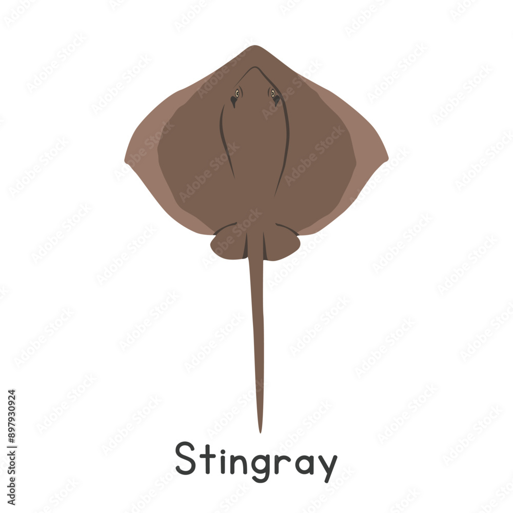 Stingray vector illustration. Bluntnose stingray cartoon clipart ...