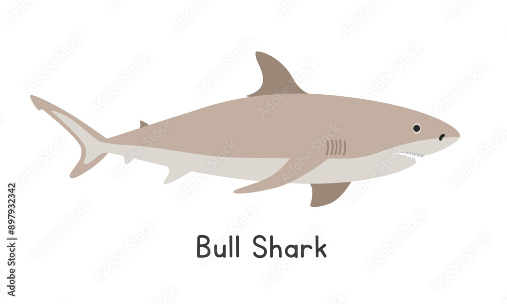 Bull shark vector illustration. Bull shark cartoon clipart, animal in ...
