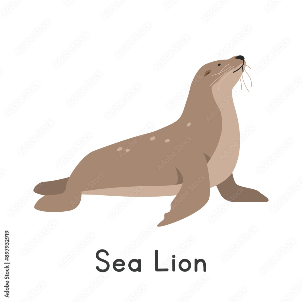 Sea lion vector illustration. Cute sea lion cartoon clipart, animal in ...