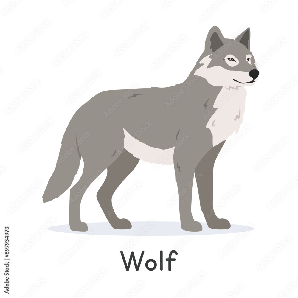 Grey wolf vector illustration, cartoon clipart character, animal in ...