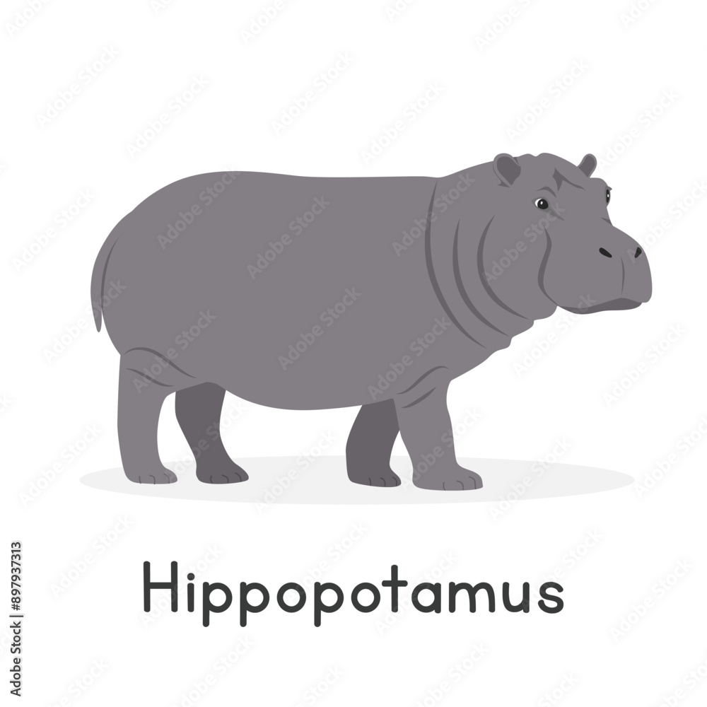 Hippopotamus vector illustration, cartoon clipart character, animal in ...