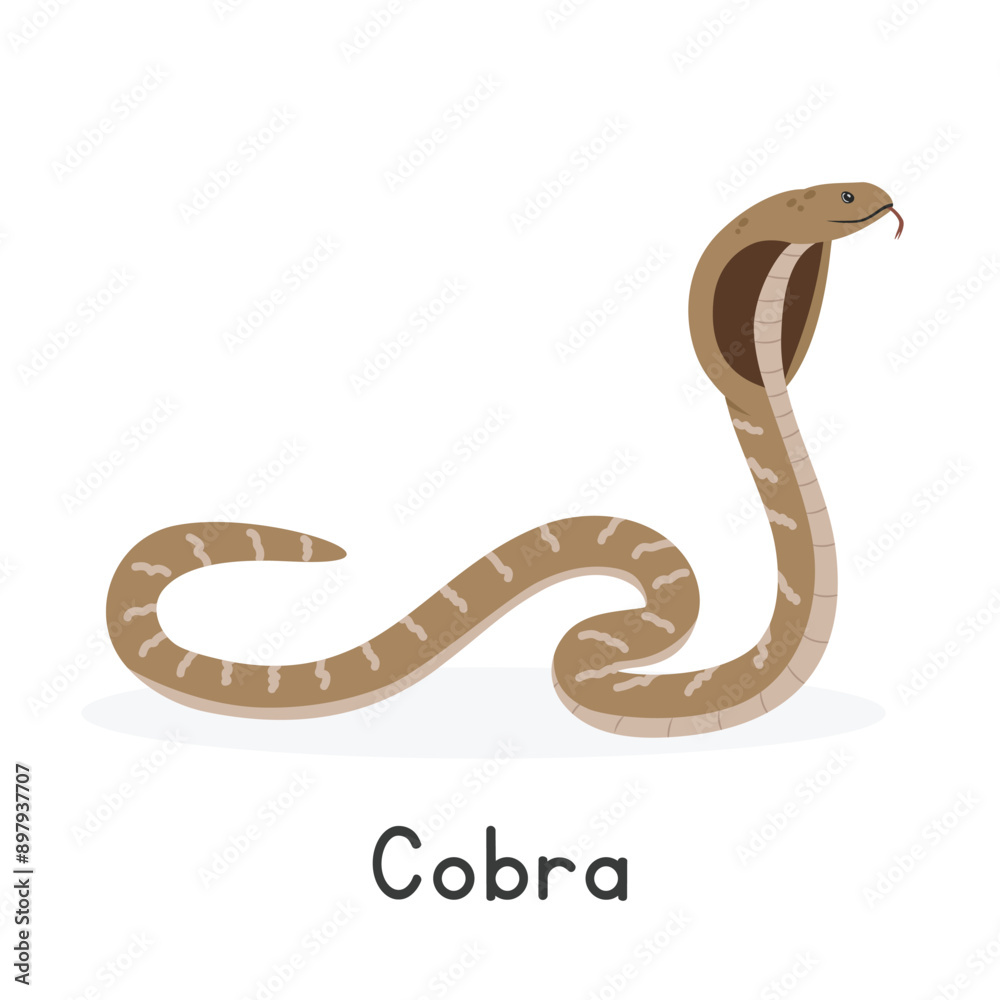 Cobra vector illustration, cartoon clipart character, animal in flat ...