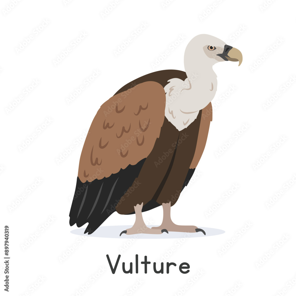 Eurasian griffon vulture vector illustration, cartoon clipart character ...