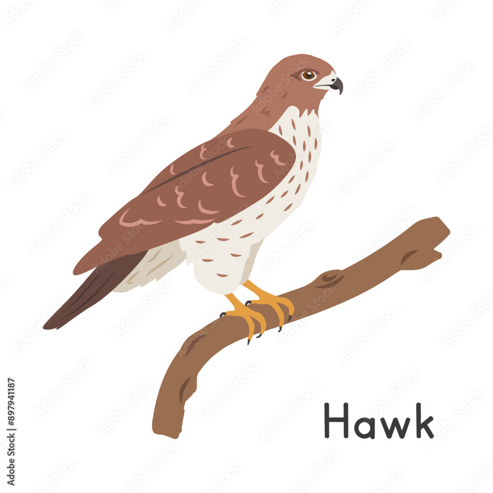 Hawk perched on tree branch vector illustration, cartoon clipart ...