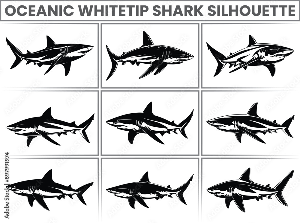Hand-drawn Oceanic whitetip shark Silhouettes Vector Marine Fish and ...