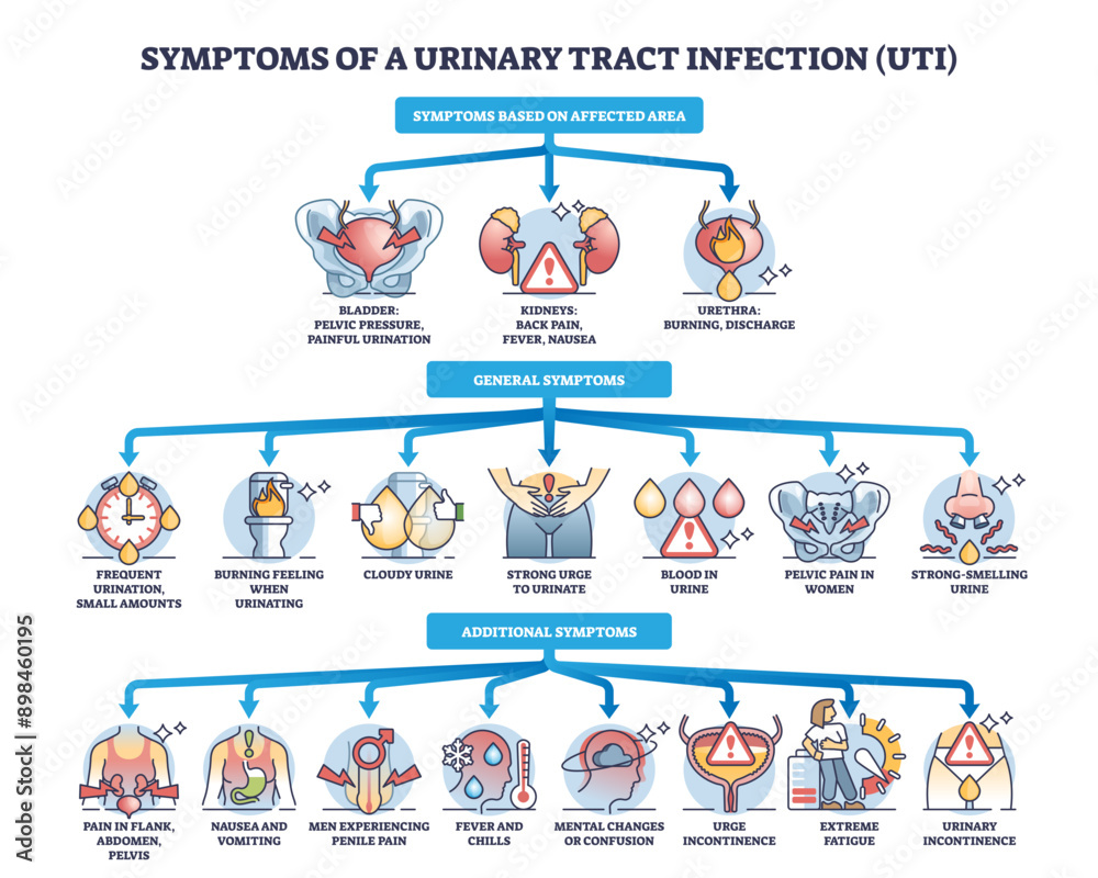 Symptoms of urinary tract infection or UTI bladder disease outline ...