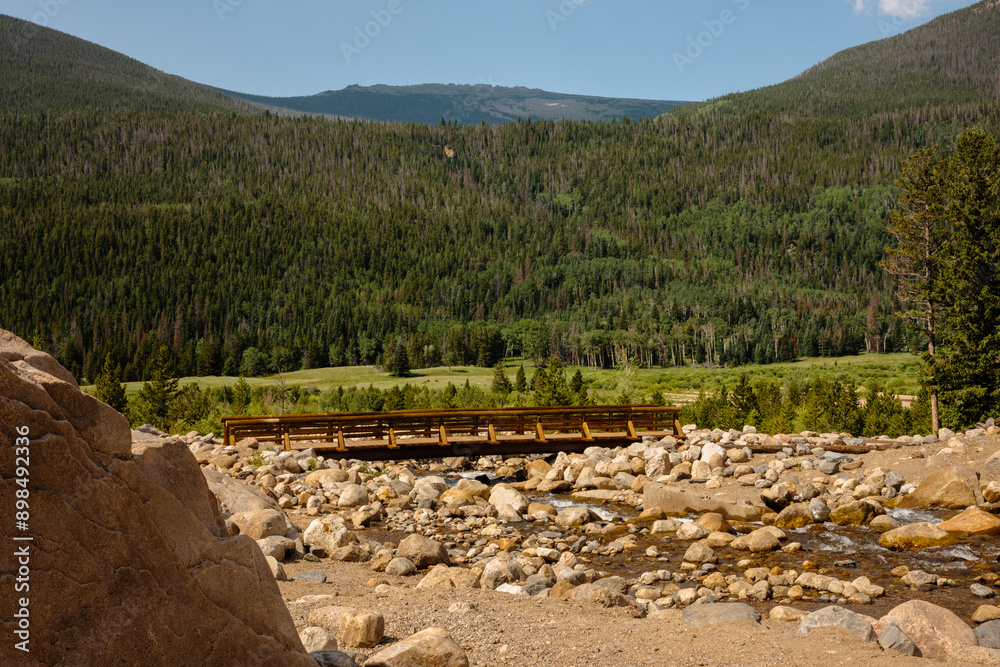 Looking into the valley from the Alluvial Flood Plain of the Roaring ...