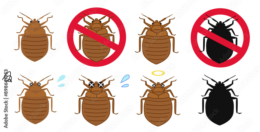 Set of various illustrations of bed bugs. Line drawings, black and ...